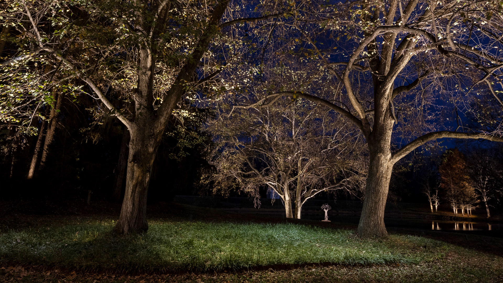 Luxury Illumination Denver Lighting for Outdoor Landscapes