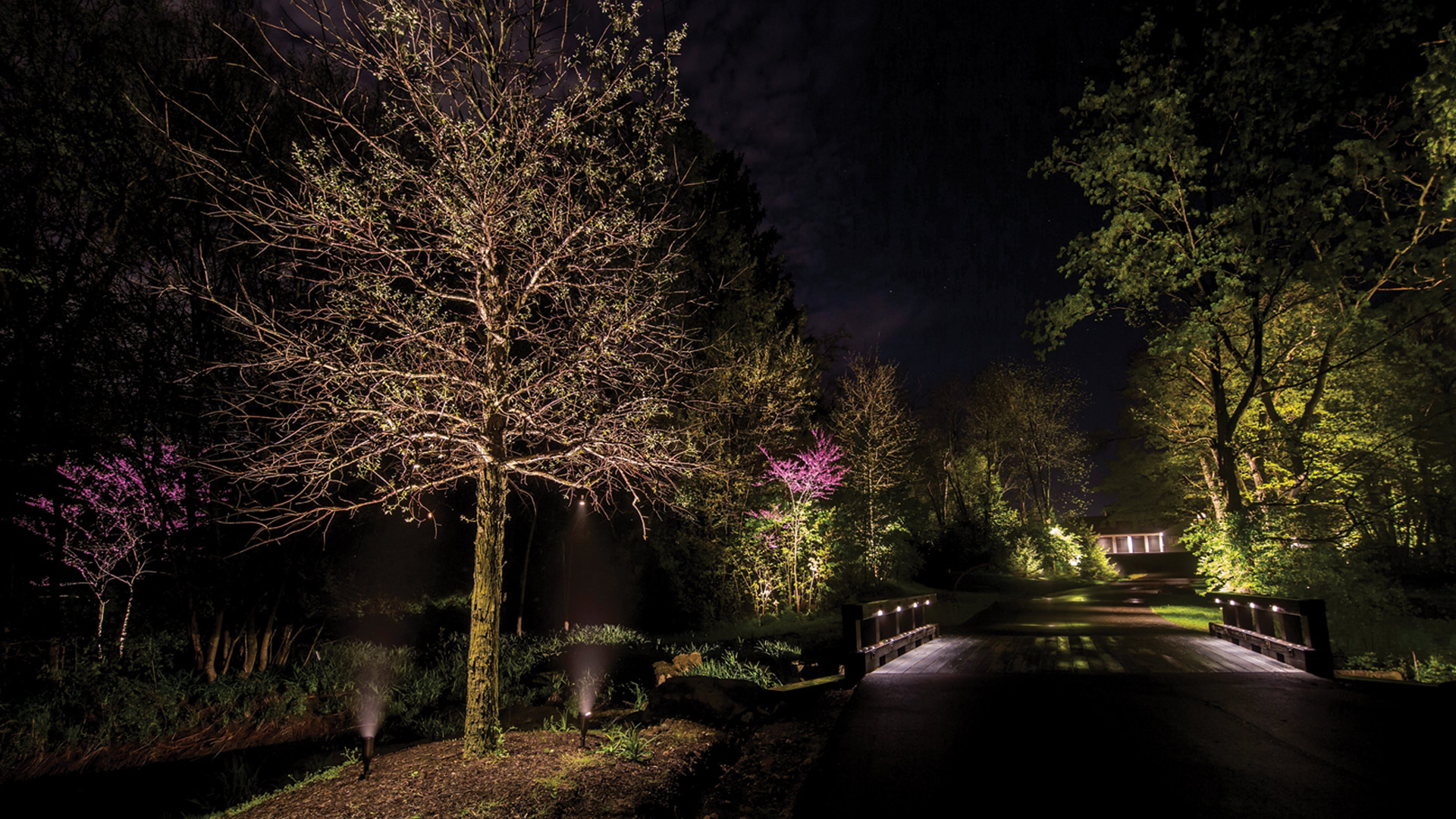 Luxury Illumination Denver Lighting for Outdoor Landscapes